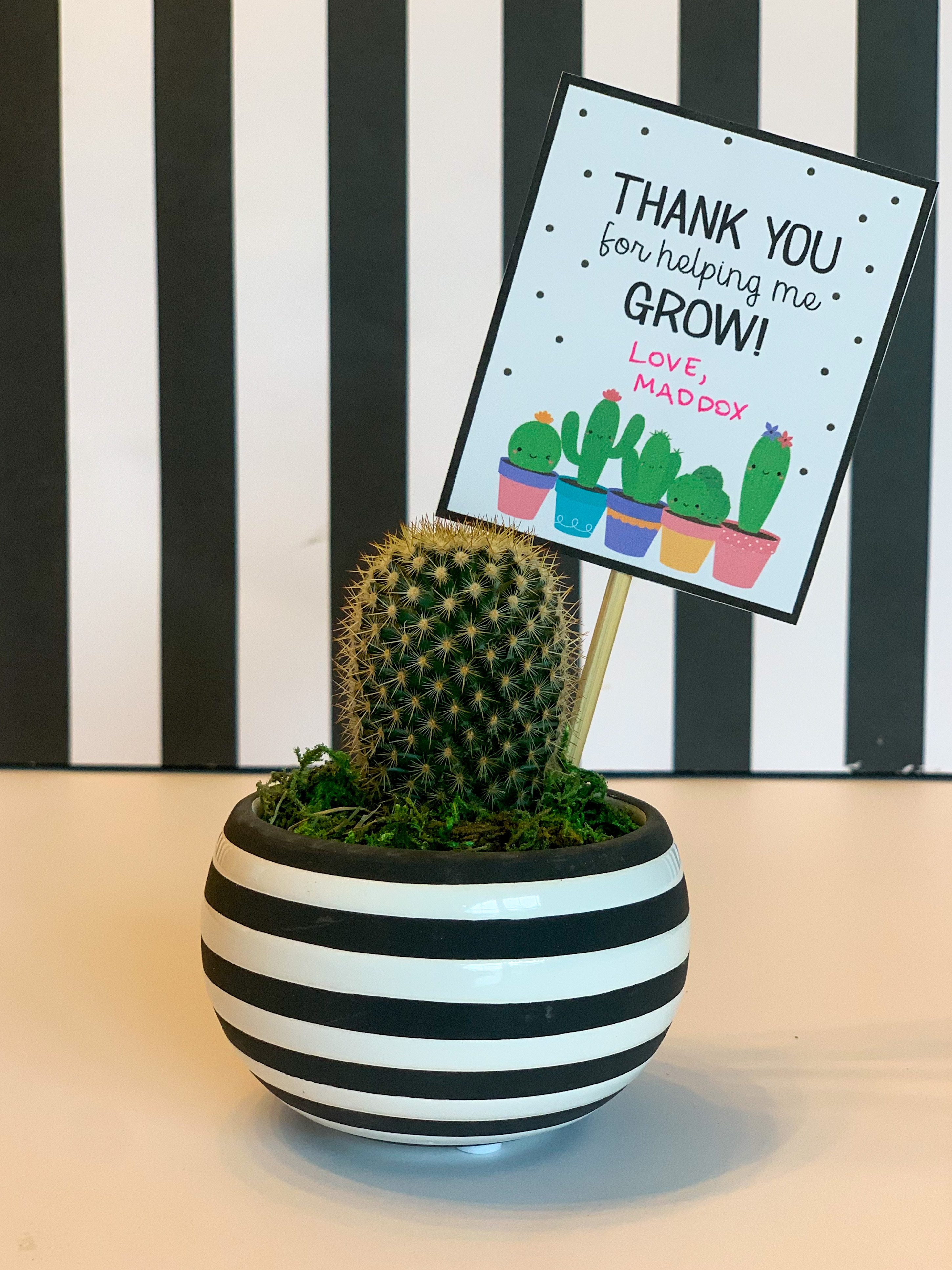 Teacher Appreciation Gift Ideas {with free printable tags} - Mandi Moore