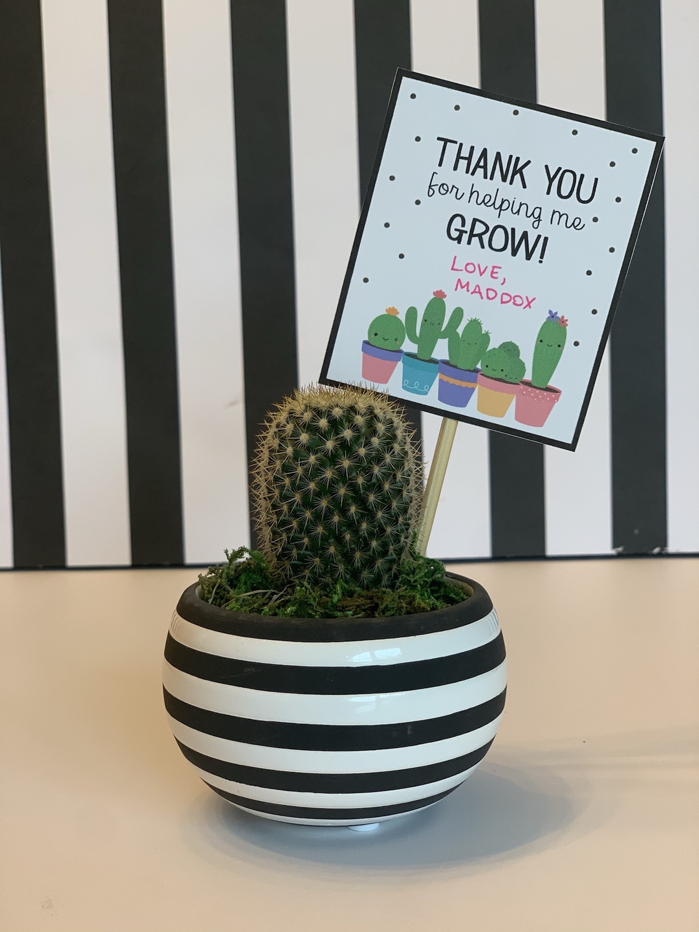 teacher-gift-cactus - Mandi Moore